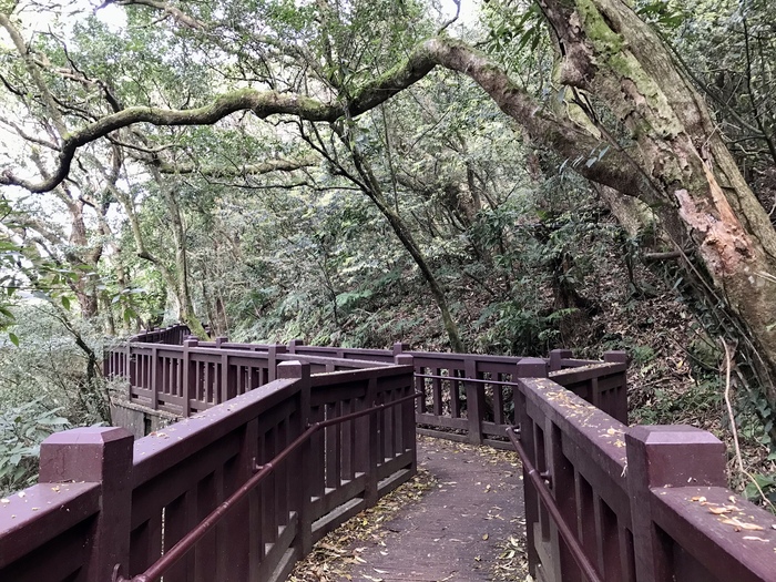 [離線地圖教學]健行筆記《踢不爛大地遊戲-大屯主峰步道》撿寶趣|新北市景點|104高年級
