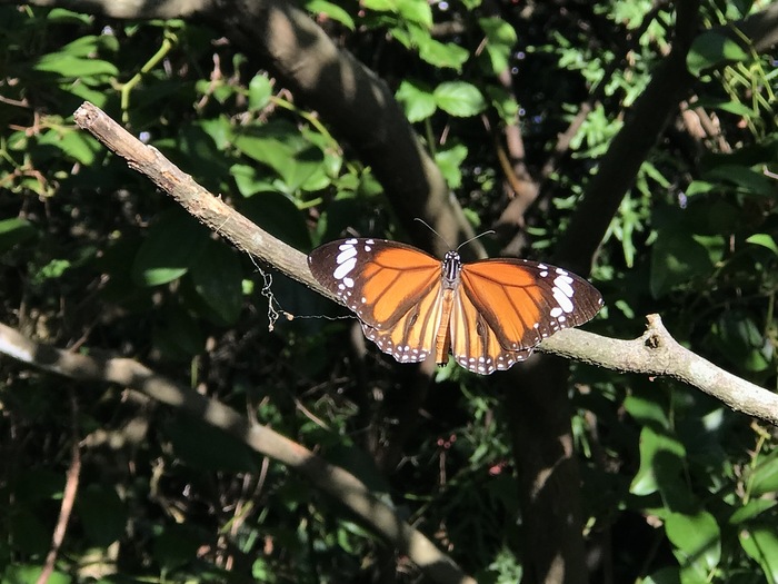 [離線地圖教學]健行筆記《踢不爛大地遊戲-南子吝登山步道》撿寶趣|新北市景點|104高年級