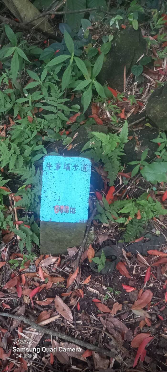 [離線地圖教學]2024觀音觀鷹尋寶拿證書趣part.2|台北市景點|104高年級