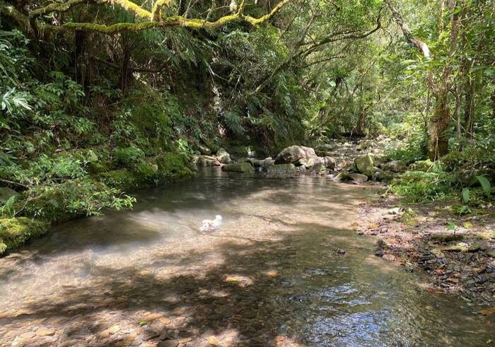[離線地圖教學] 淡蘭南路第四段：石槽派出所至縣界公園，撿寶拿證書趣|新北市景點|104高年級