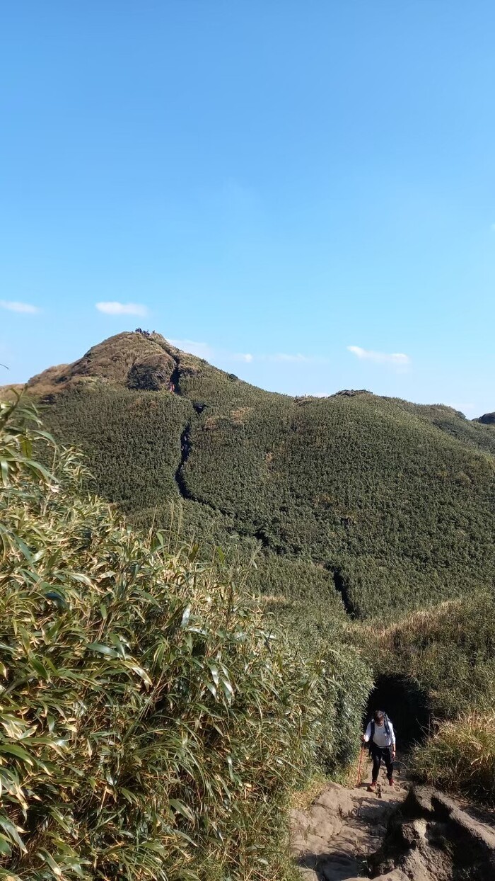 【離線地圖教學】『健行筆記任務』台北大縱走第三段（小油坑＞擎天崗）|台北市景點|104高年級